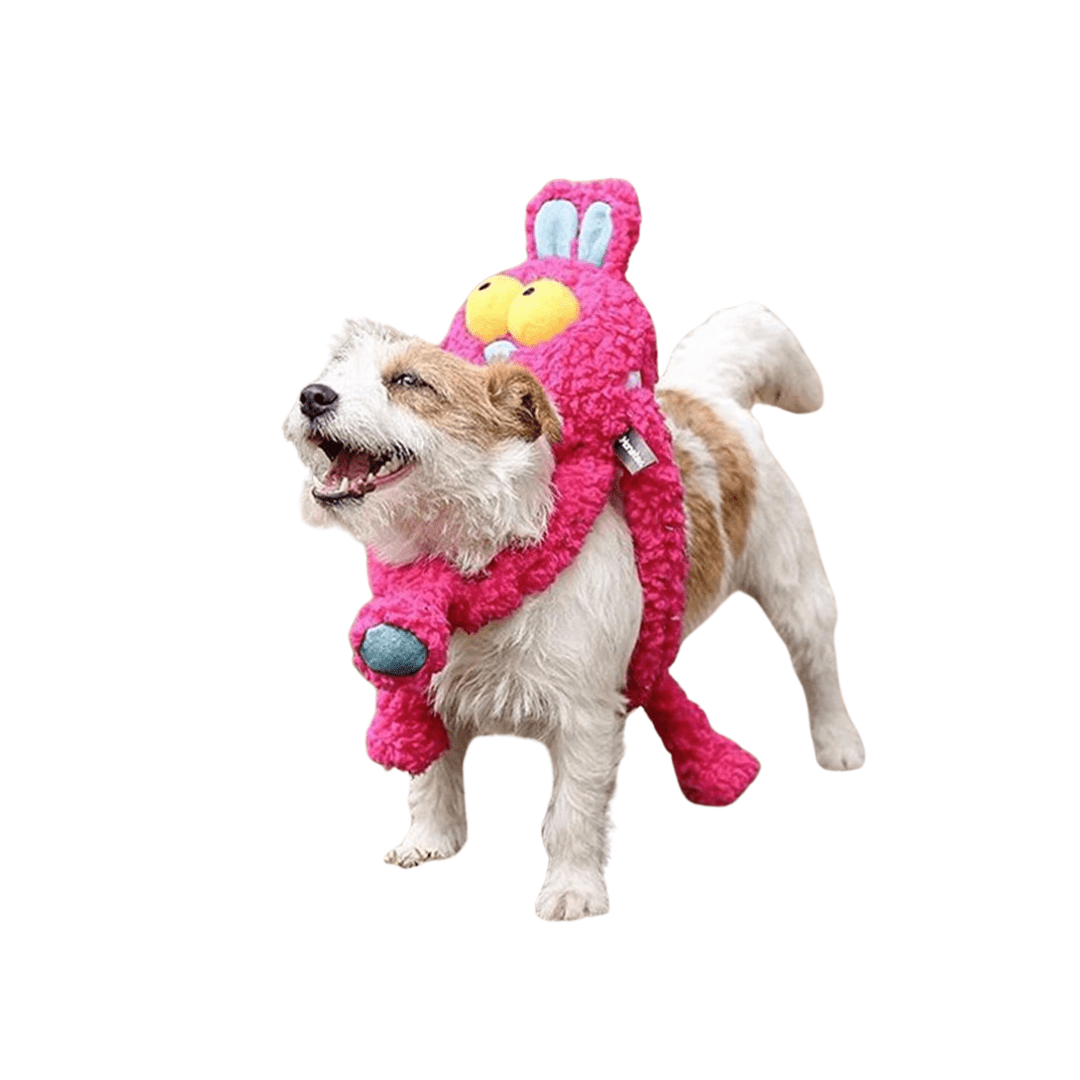 Long Hare Dog Rope Tug Toy – Pawtique