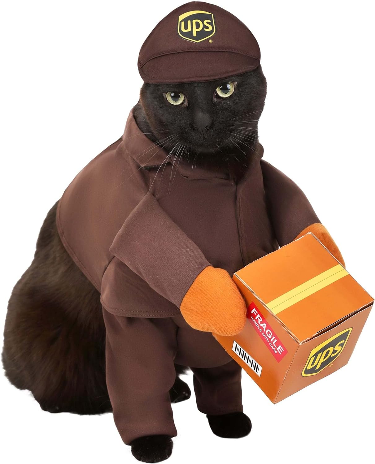 UPS costume – Pawtique